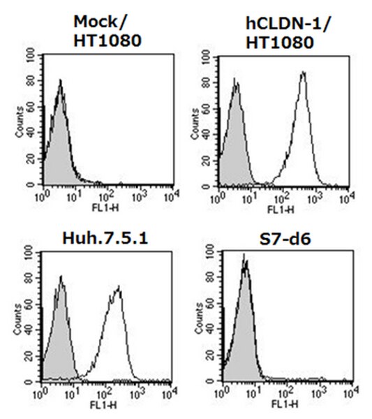 Anti-Claudin-1/CLDN1 Antibody, clone 7A5 | MABT366